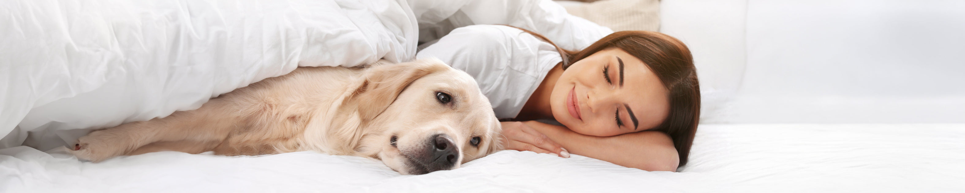 The Science of Cuddling: Why Pillows Make Us Feel Safe, Loved, and Rel